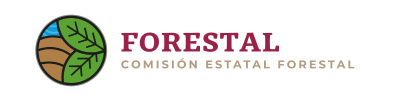 Forestal